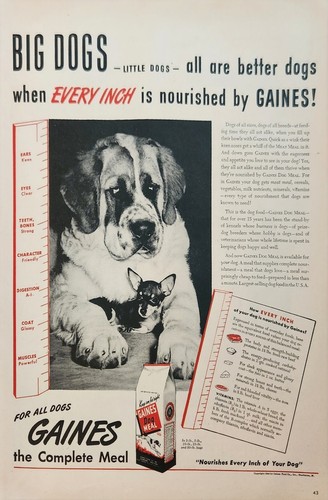 1944 Gainers complete meal for dogs Vintage Ad Big dogs little dogs | eBay
