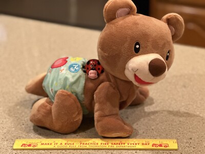 VTech Baby Crawl Along Bear Baby Infant Activity Toy with Music &Lights ...