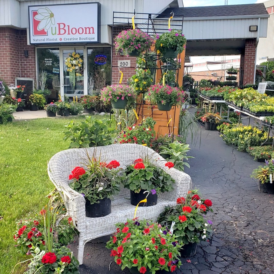 Single-Sided 4x8 LED LIGHTED outdoor CUSTOM business sign | box frame ...