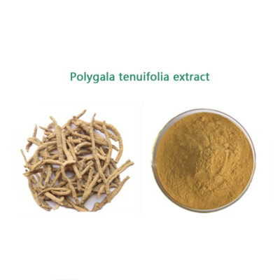 Polygala Tenuifolia Extract 30:1 Powder 100g~500g | eBay