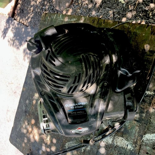 Briggs & Stratton 550EX Vertical Shaft Engine 140-4246 09P7020293F1 ...