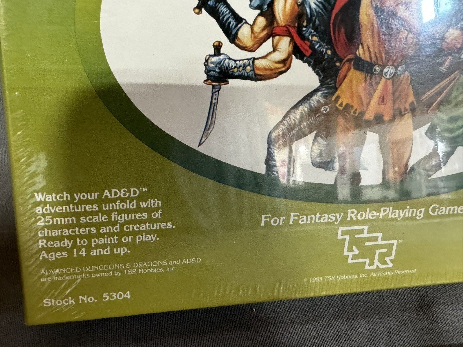 TSR Dungeons and Dragons Miniatures 5304 Monks Bards & Thieves 12 ...