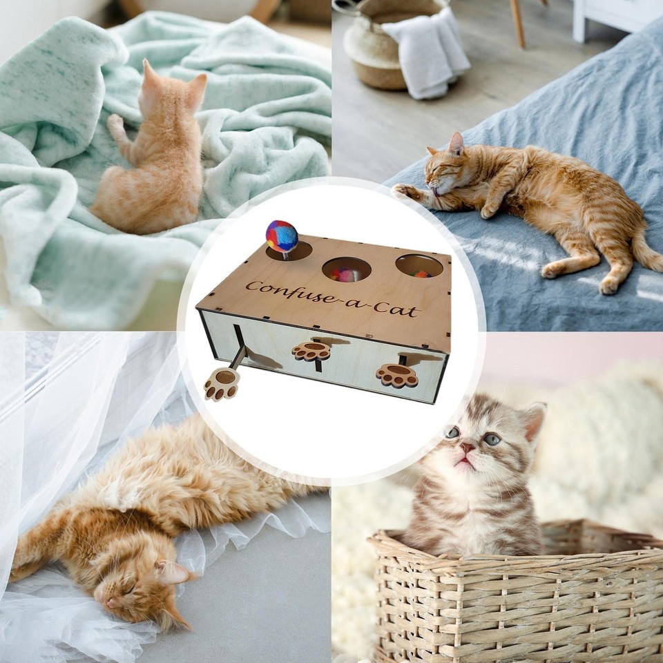 Funny Cat Hunting Box Confuse A Cat Box Puzzle Wood Cat Interactive ...