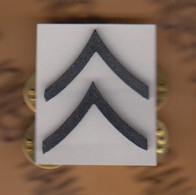 US Army Vietnam era E-2 Private PVT plastic Combat rank set c/b | eBay
