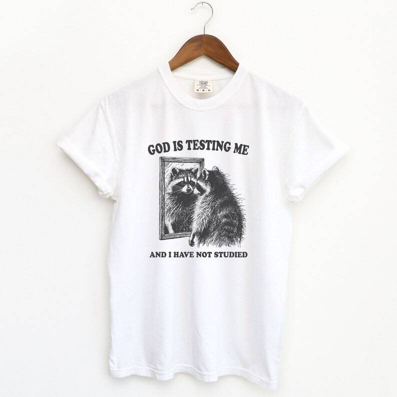 God Is Testing Me, Funny Unisex Tee, Possum T-Shirt, Meme T-Shirt ...