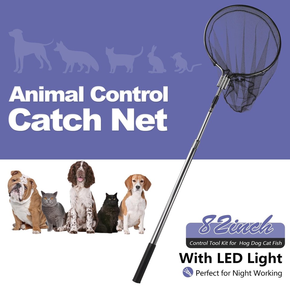 Animal Catcher Net, Dog Catching Net, Animal Catch Pole Tools for ...