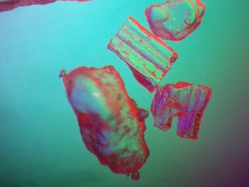 Microscope 32mm Mini-Rheinberg Red Filter Set - Great To Start Or To ...