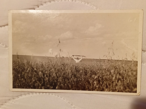 1910s South Dakota Oat Field Fedora South Dakota Real Photo Postcard ...