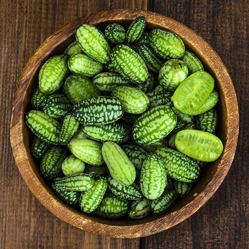 65 Cucamelon Seeds-Melothria Scabra-Mexican Watermelon-Vining Vegetable ...