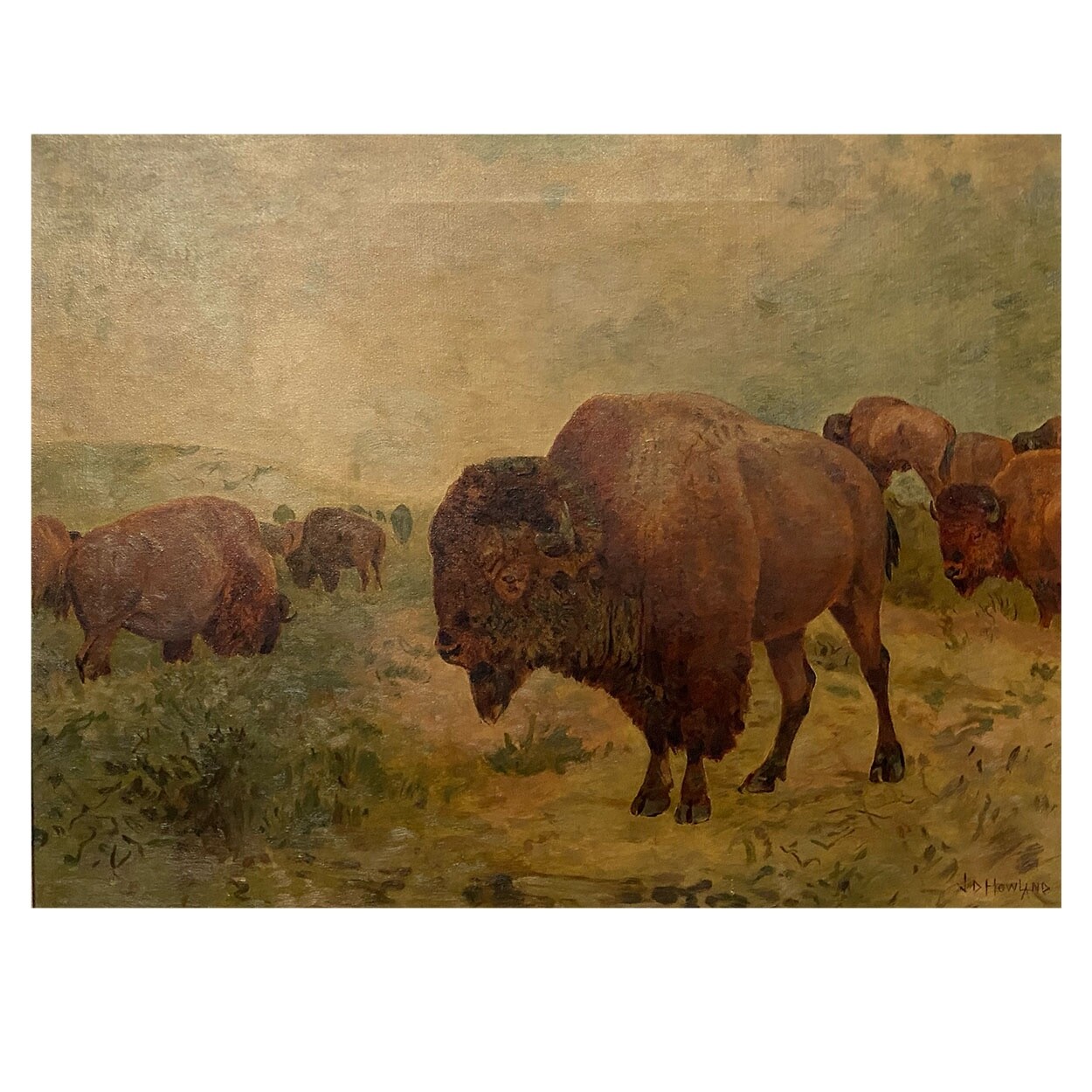 Antique JOHN (JACK) DARE HOWLAND Oil Painting, Buffalo/Bison Herd 19th ...