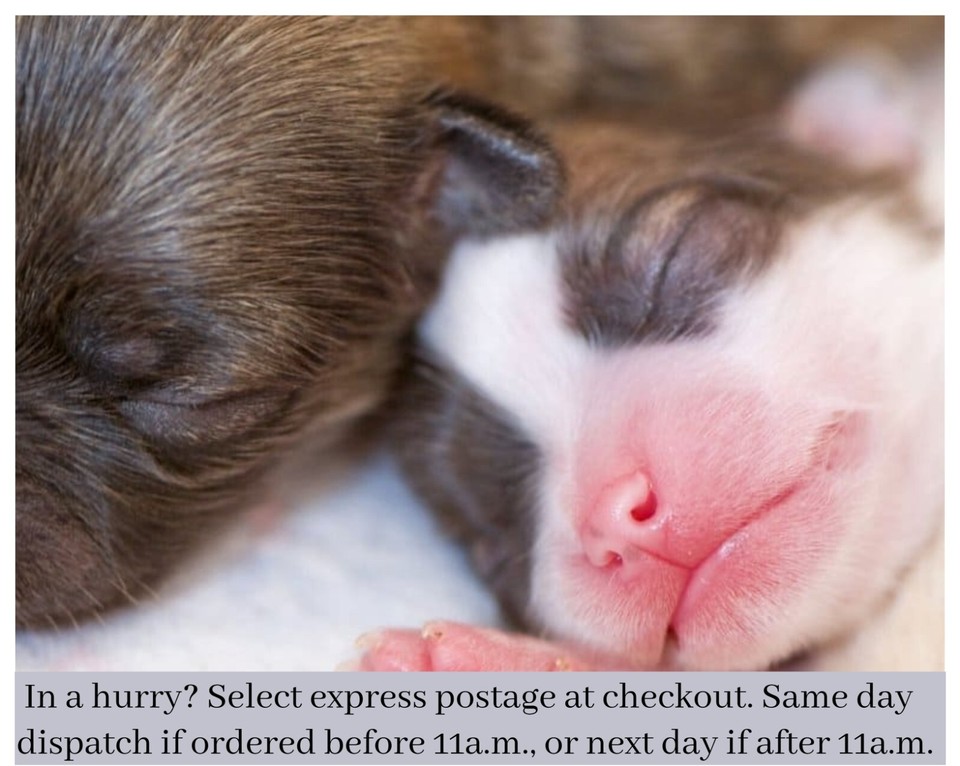 Non-slip vet bed.Professional quality,1300g fleece veterinary bed;2-10m ...