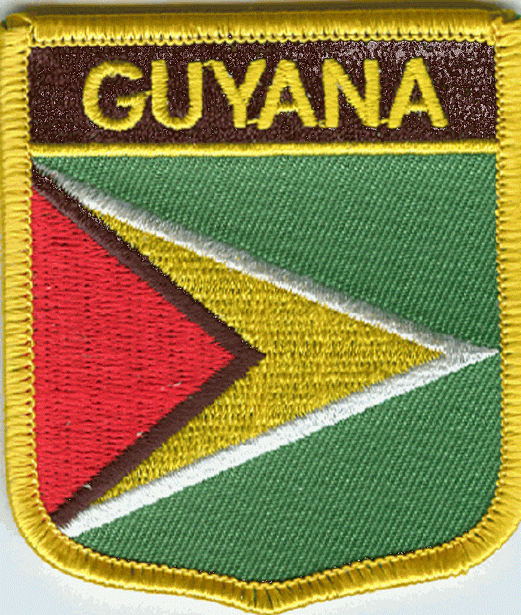 GUYANA SHIELD FLAG EMBROIDERED PATCH -- IRON-ON -- NEW 2.5" x 2.75" | eBay