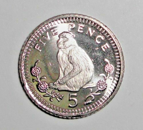 2000 Gibraltar Coin 5 pence Barbary Macaque Monkey Candytuft Flower ...