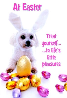 At Easter Treat Yourself to Lifes Little Pleasures- Easter Greeting ...