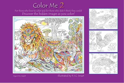 Color Me Your Way 2 or 3 Adult coloring book Spiral-bound By Pamela ...