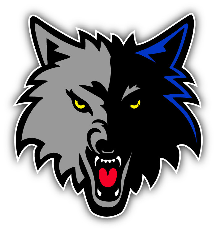 Minnesota Timberwolves NBA Basketball Head Car Bumper Sticker - 3'' or ...