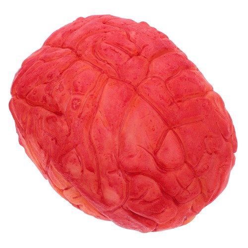 Fake Human Brain Luoem Halloween Prop Bloody Brains for Decorations | eBay