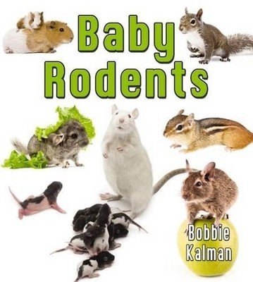 Bobbie Kalman Baby Rodents (Tascabile) Its Fun to Learn About Baby ...