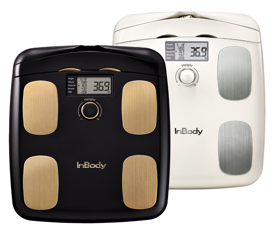 InBody Dial H20 Smart Scale Analyzer | Weight, BMI, Fat, Muscle Mass ...