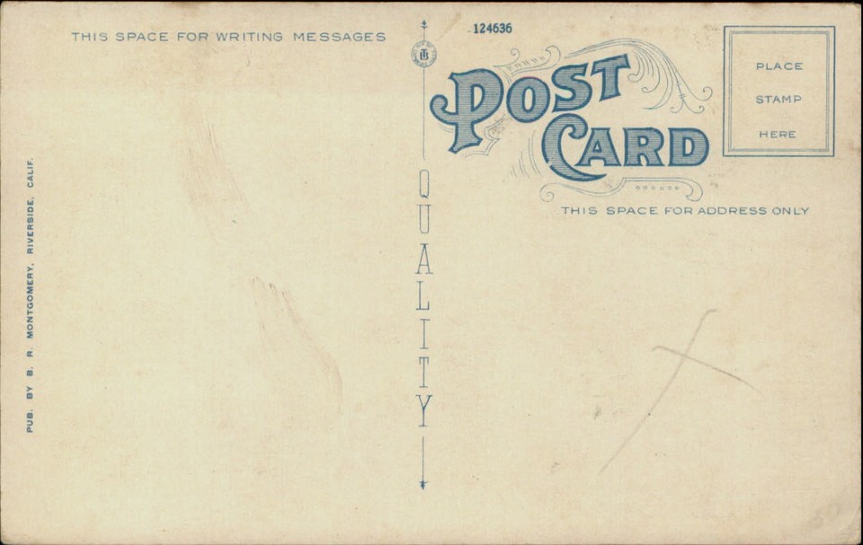 Santa Cruz CA Big Tree Grove redwood estimated 5000 years old 1920s ...