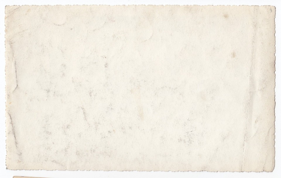 1950s Medical university Anatomy Autopsy Skull Bones Post mortem ...