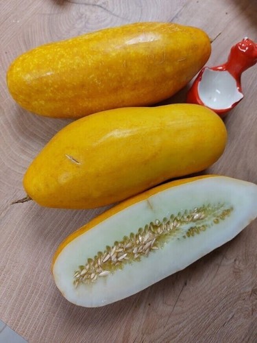 Hmong Red Cucumber from South East Asia - 5+ seeds - Graines - Samen ...