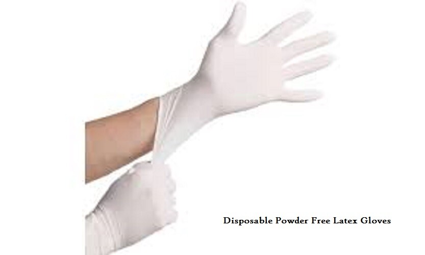 PPP Kit 13: 1 Safety Glasses+1 Hairnet+30 PC Disposable Gloves+5 PC ...