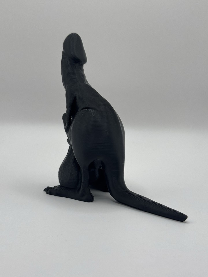 Dickosaurus - Kangaroo | eBay