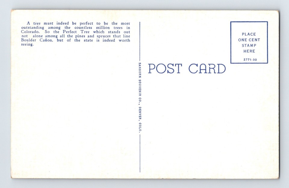 Postcard Colorado Boulder Canon CA Perfect Tree 1940s Linen Unposted | eBay
