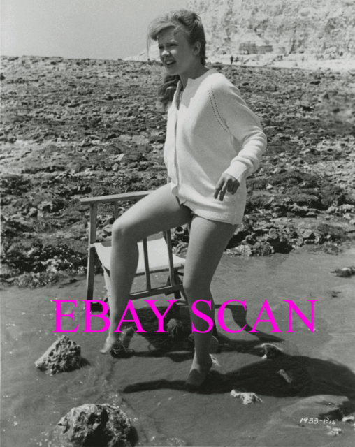 Hayley Mills 8x10 Lab Photo Bandw Sexy Legs Portrait The Chalk Garden