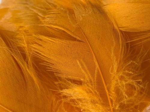 100 Solid Coloured Feathers - Mixed Sizes - Art, Craft, Bubble Balloon ...