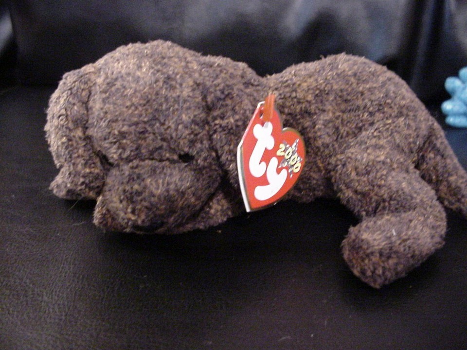 Ty Beanie Babies Retired Baby 2000 Lot 5 Prince Kooky Jingle Pup Dart ...