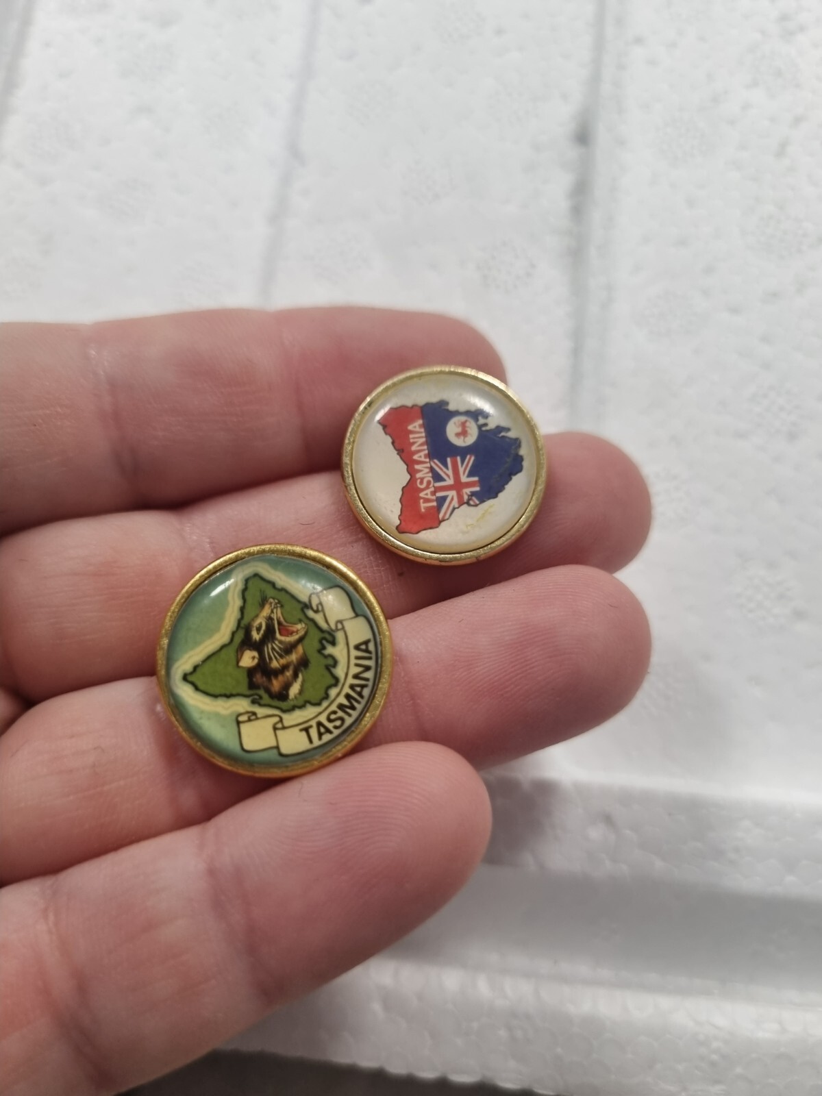 Tasmania Tourist Badge lot NO BACK | eBay