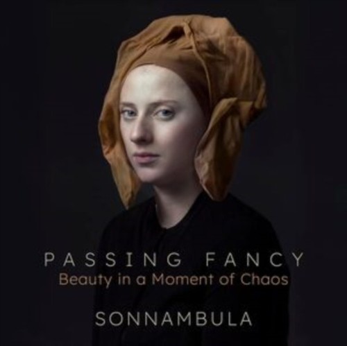 Passing Fancy - Beauty In A Moment Of Chaos | eBay
