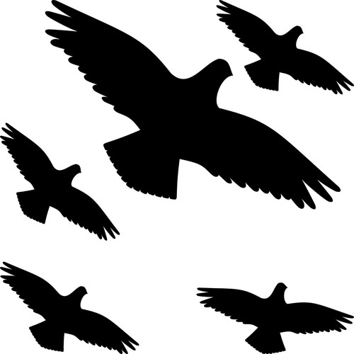 set shadow birds black die cut Window glass Protection vinyl decals ...