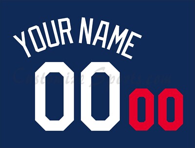 Los Angeles Dodgers Customized Number Kit for 2020-Pres. Spring ...