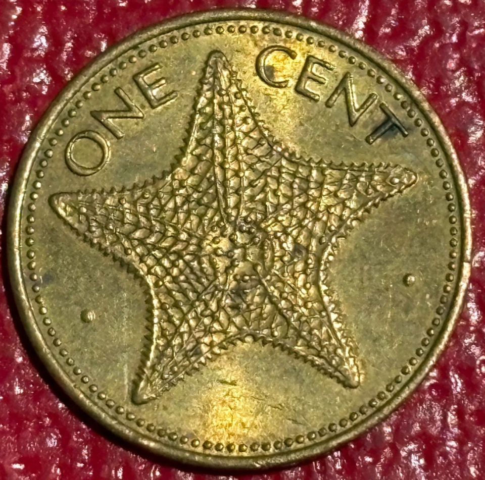 HIGH GRADE AU DETAILS 1982 BAHAMAS ISLANDS STARFISH ONE CENT COIN ...