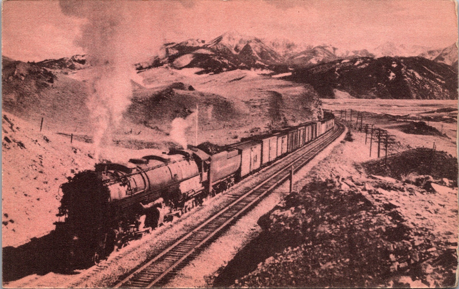 Vintage Photo Postcard Northern Pacific Freight Train Yellowston Park ...