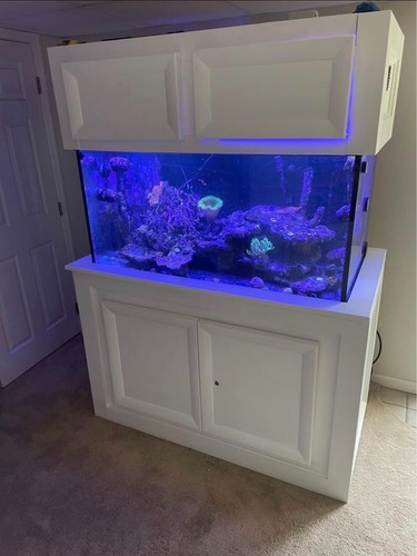 150 Gallon saltwater aquarium fish tank | eBay