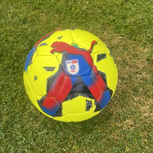 EFL Sky bet Puma 2022/2023 Football Yellow Size 5 | eBay UK