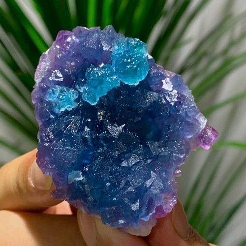 88G Rare Blue Purple cubic fluorite mineral crystal sample/Zhejiang ...