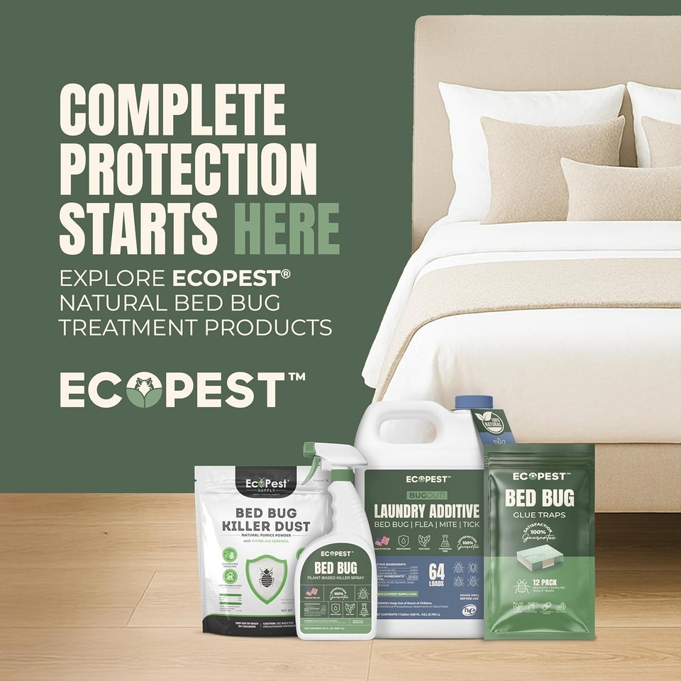 Bed Bug Interceptors – 12 Pack | Bed Bug Blocker (Pro) Interceptor ...