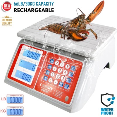 Scales - Seafood Scale