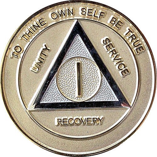 1 Year AA Anniversary Medallion - Gold & Silver Inlay - (BiPlate ...