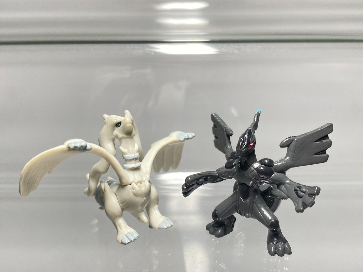 Real Life Zekrom And Reshiram