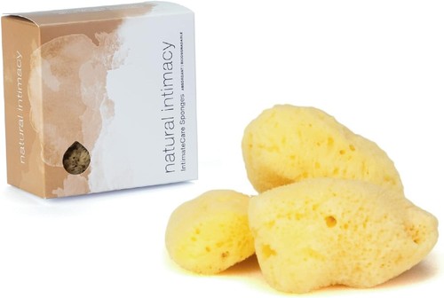 Sea Sponges, Mediterranean "Fine Silk" (Golden Yellow, 3x5.5-6.5cm ...