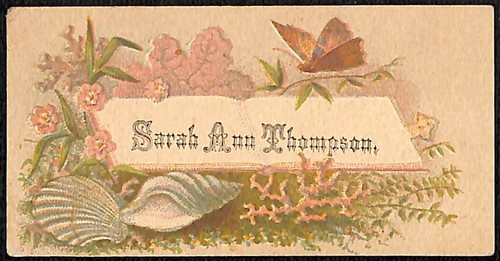 "Sarah Ann Thompson" Victorian Calling Greeting Card w/ Sea Shells ...