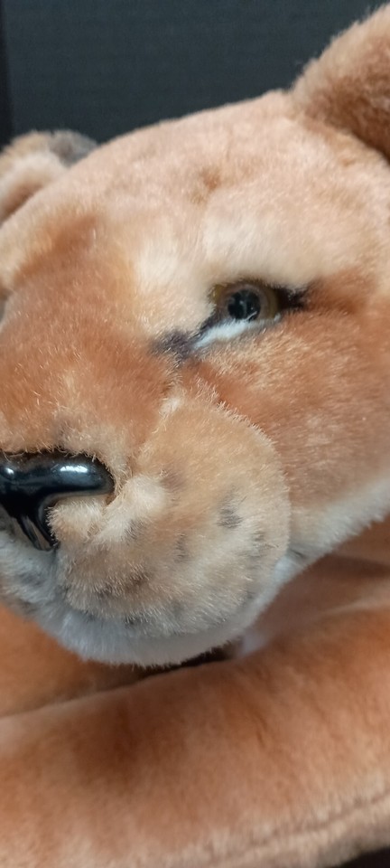 🟢Realistic Lioness Lion Plush Large 24" Plush Stuffed Animal KellyToy ...