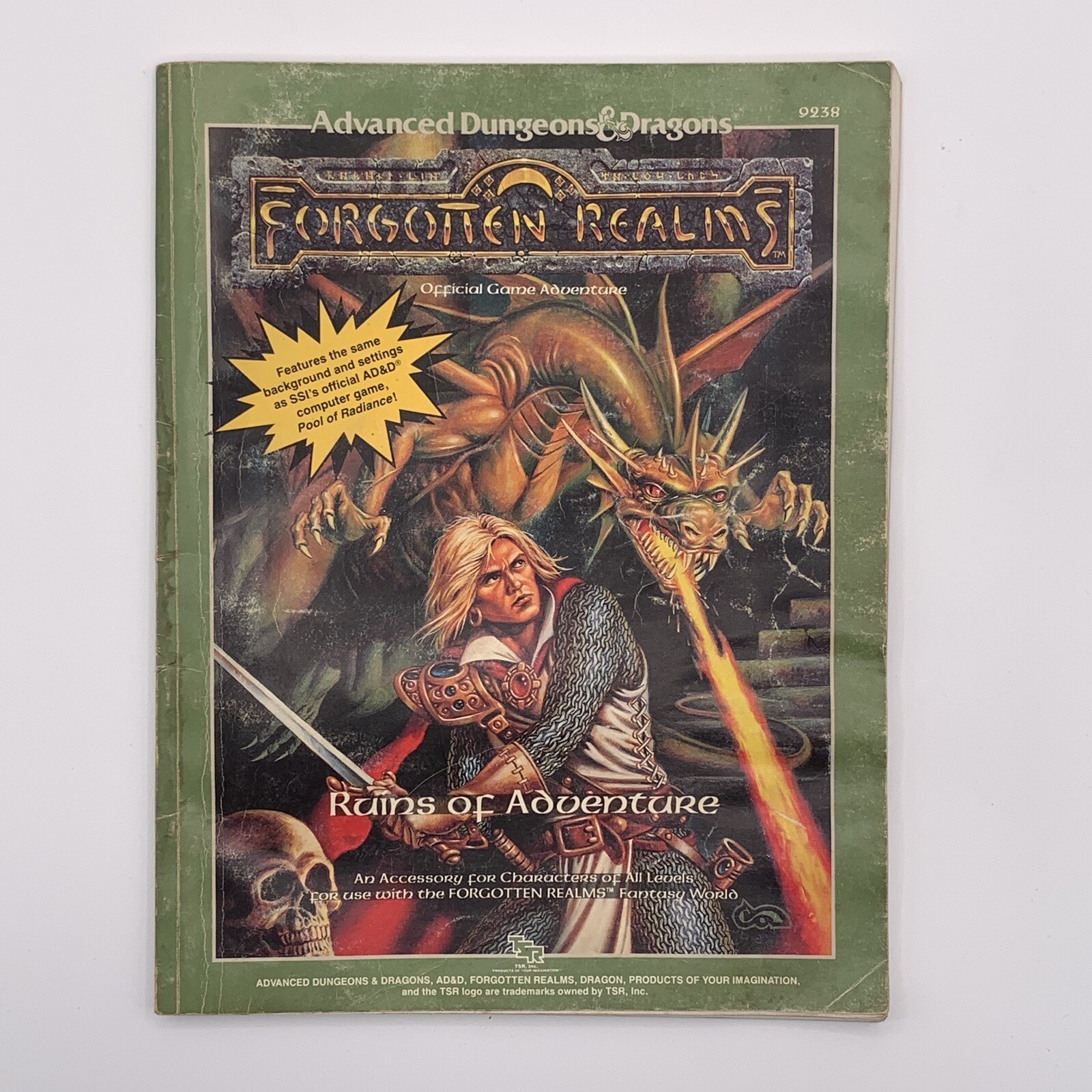 Advanced Dungeons & Dragons AD&D Forgotten Realms Ruins Of Adventure ...