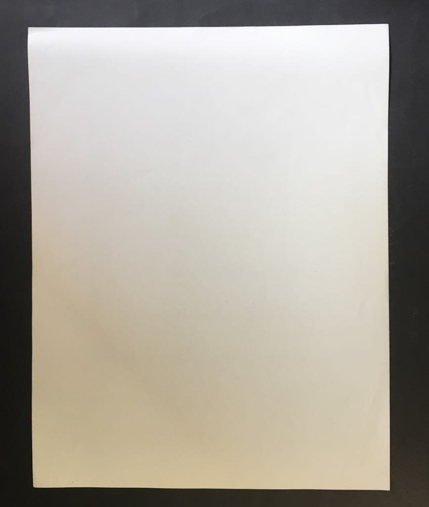 RARE VINTAGE ARCADE MACHINE FLYER – RIPCORD – GAME, EXIDY INC., USA ...